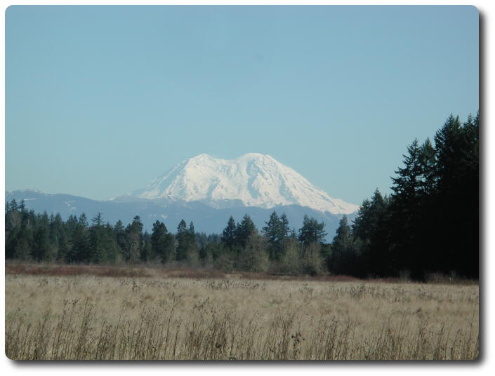Mt. St. Helens Trip